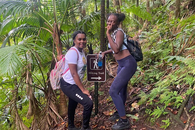 St.Kitts Volcano Hike To Mt. Liamuiga (Highest Peak On Island) - Who Should Book This Tour?