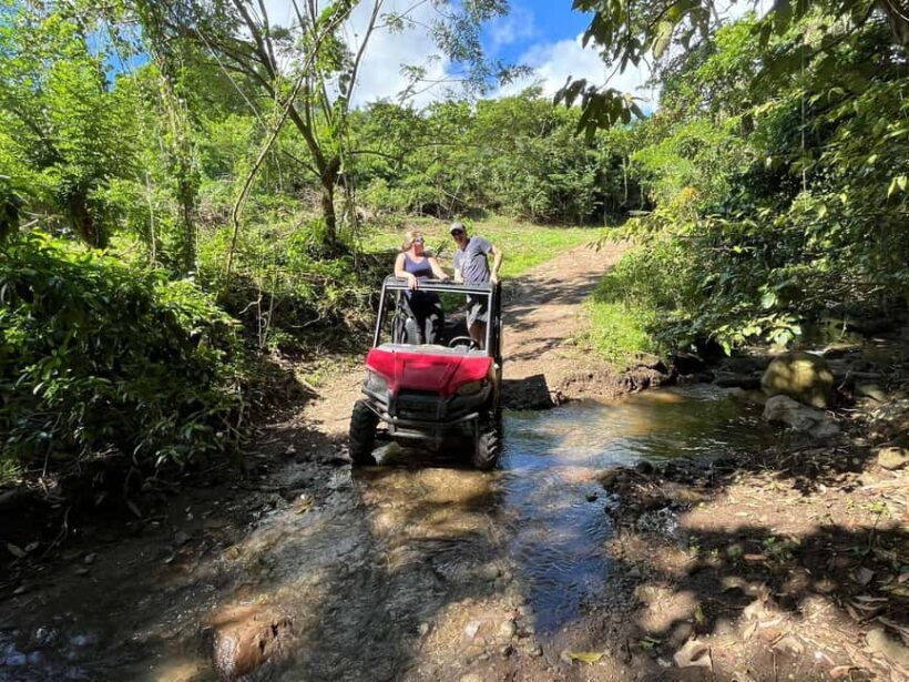 St. Kitts:Countryside Dune Buggy Tour - The Sum Up: Is This Tour Right for You?