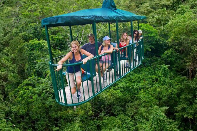 St. Lucia 3 in 1 Combo: Aerial Tram, Rainforest Trail & Zipline - The Sum Up