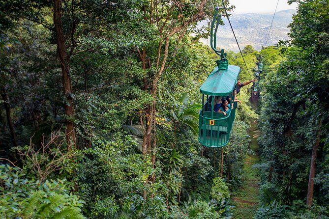 St. Lucia Aerial Tram Tour at Rainforest Adventures - Key Points