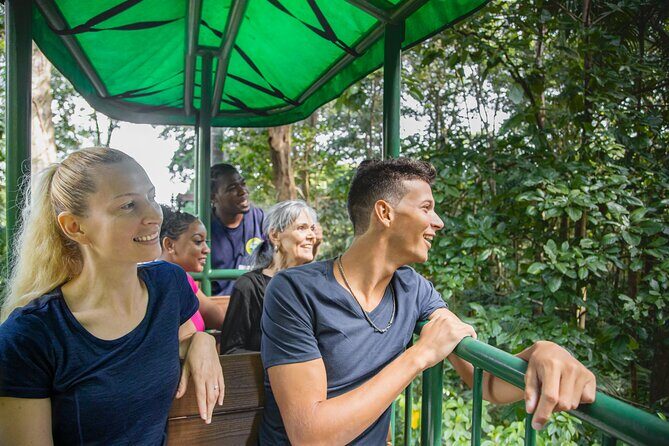 St. Lucia Aerial Tram Tour at Rainforest Adventures - A Closer Look at the Experience