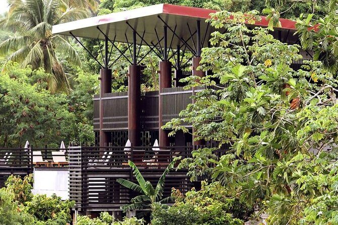 St Lucia Airport Transfer to Hotel Chocolat - Why Choose This Airport Transfer?