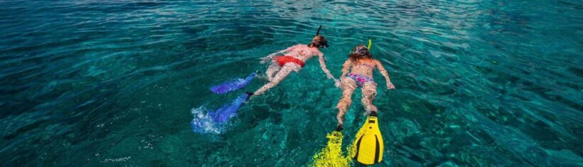 St. Lucia: Anse Cochon Marine Reserve Snorkeling Tour - Who Will Appreciate This Tour?