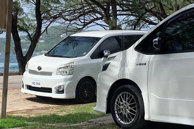 St Lucia Bamboo Rafting Experience (+Rum Tasting) - Discovering the Bamboo Rafting Experience in St. Lucia