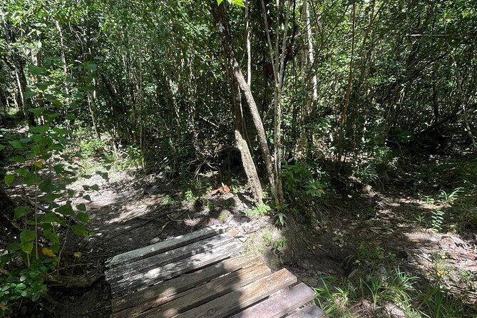 St Lucia Billy Goat Trail Hike in Marigot Bay Saint Lucia - Final Thoughts: Is It Worth It?