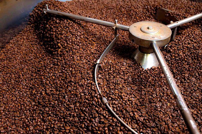 St Lucia Coffee Crop to Cup and Cocoa Bean to Chocolate Bar Tour - Transportation and Group Size