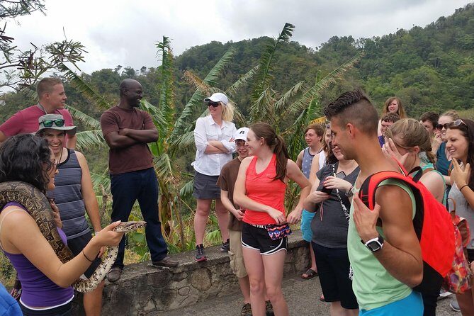 St Lucia Customize Private Island Tour - The Experience in Action: What Travelers Say