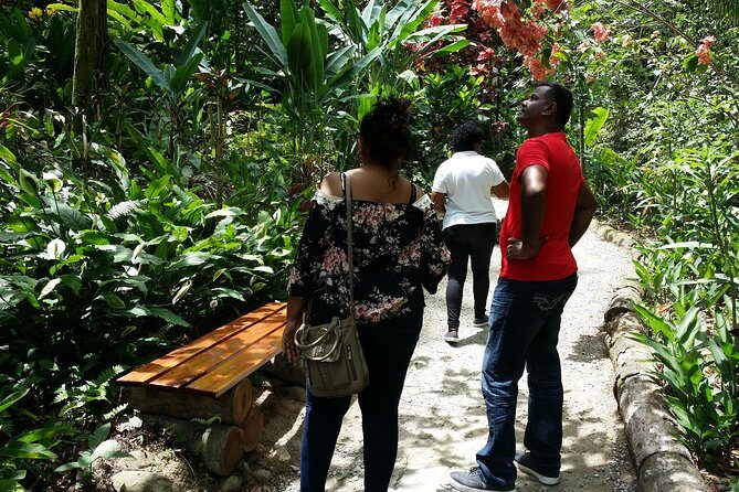 St Lucia Diamond Mineral and Mud Baths Plus Waterfall Adventure - Who Will Love This Tour?