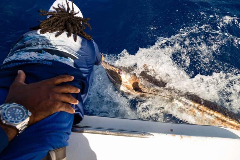 St. Lucia: Full-Day Private Fishing and Snorkeling Charter - The Practical Side: Price, Duration, and Group Size