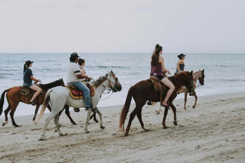 St. Lucia: Horseback Riding on the Beach with Swim - Key Points