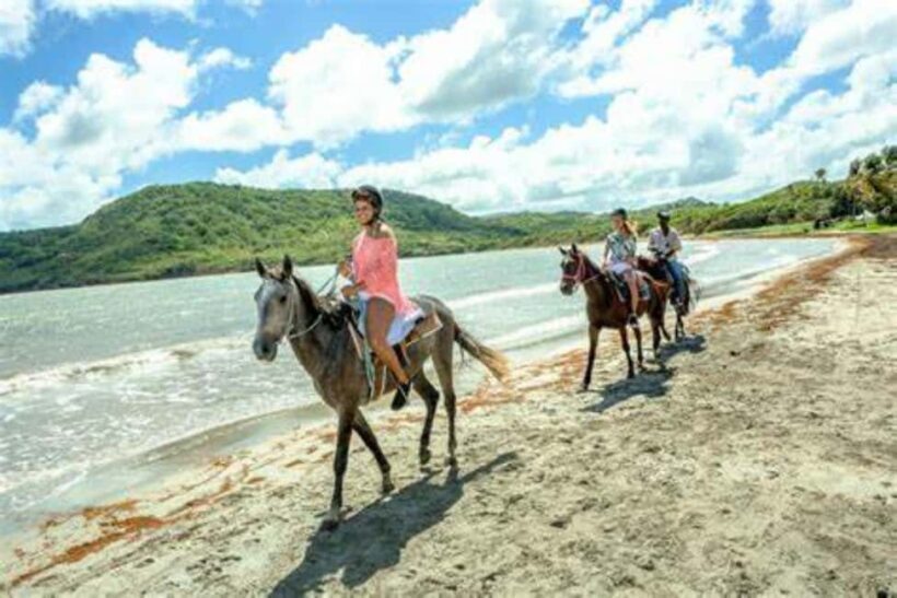 St. Lucia: Island Memories 5-Day Tour - Is It Worth the Price?