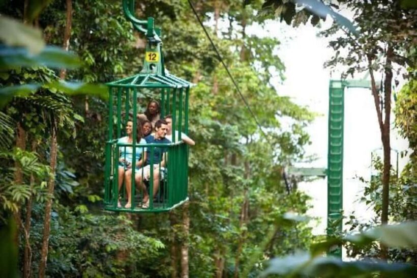 St. Lucia: Island Memories 5-Day Tour - Who Will This Tour Suit?