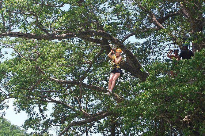 St. Lucia Morne Coubaril Estate Zipline Experience - Key Points
