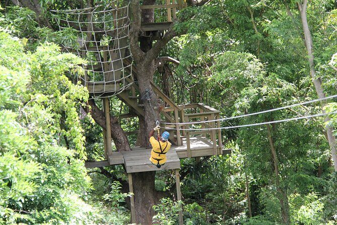 St. Lucia Morne Coubaril Estate Zipline Experience - Frequently Asked Questions
