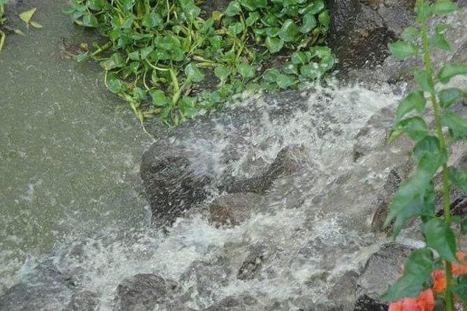 St Lucia Northern Island Tour - Final Thoughts: Is It Right for You?