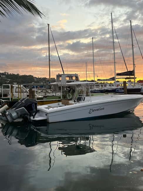 St Lucia: Private Speed Boat Tour from Castries - Authentic Experiences and Review Insights