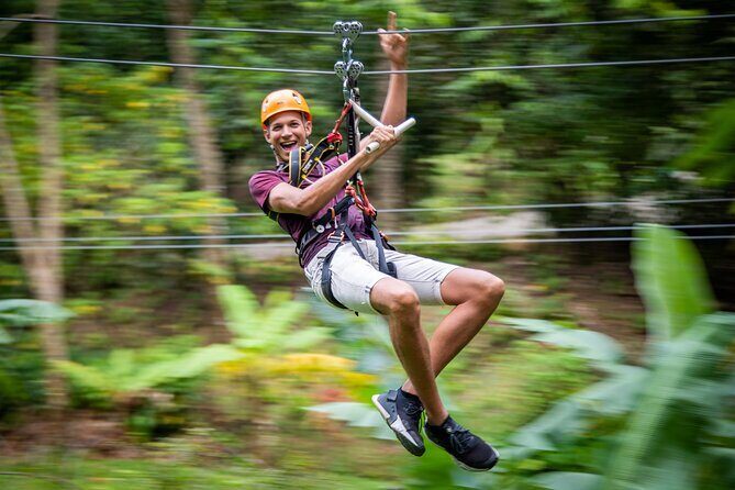 St Lucia Rainforest Canopy Zip Line Adventure - Key Points