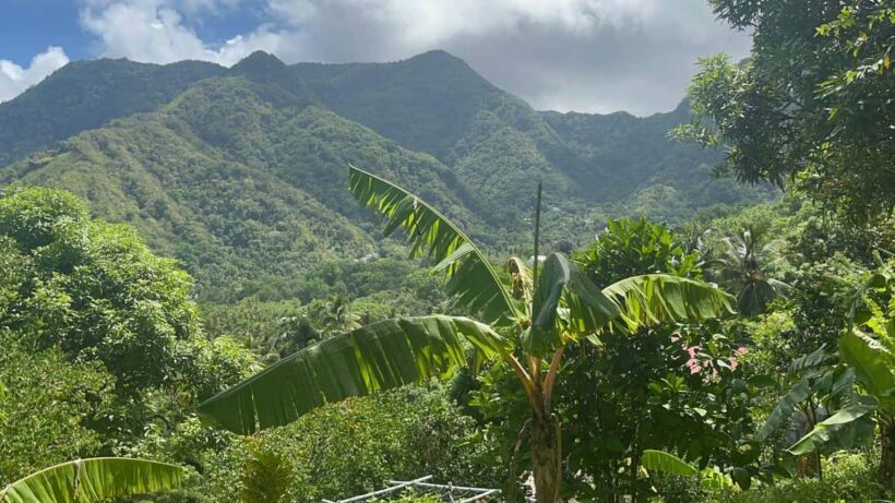 St. Lucia: Safi Estate, Volcano Waterfalls Experience - Introducing the Safi Estate Volcano Waterfalls Experience