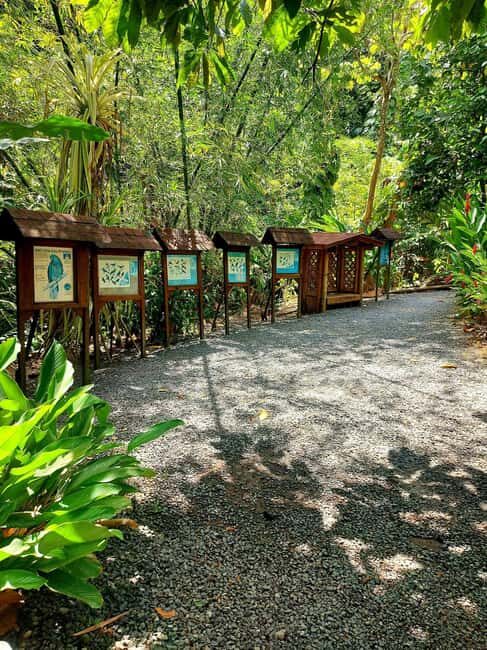 St. Lucia: Scenic Nature Hike & Botanical Garden Escape - Key Points