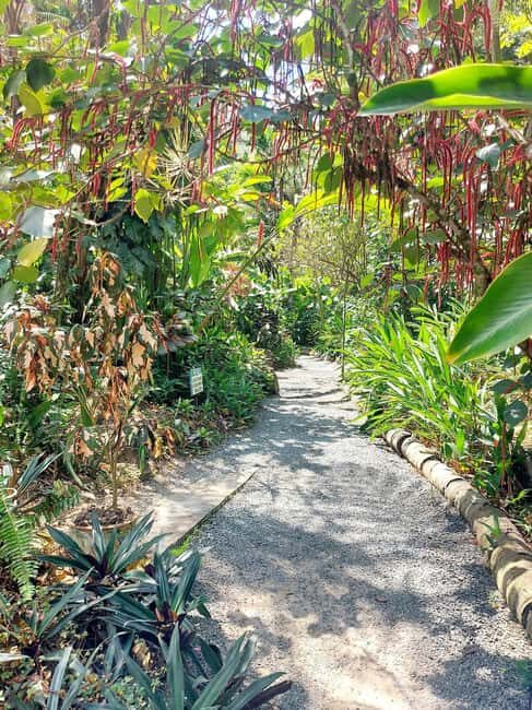 St. Lucia: Scenic Nature Hike & Botanical Garden Escape - An Overview of the Tour Experience