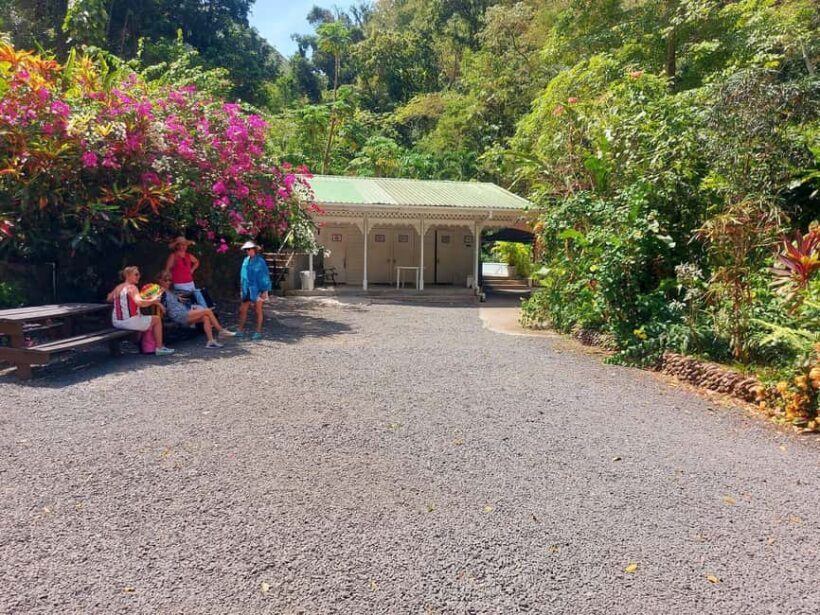 St. Lucia: Scenic Nature Hike & Botanical Garden Escape - Botanical Gardens and Floral Wonders