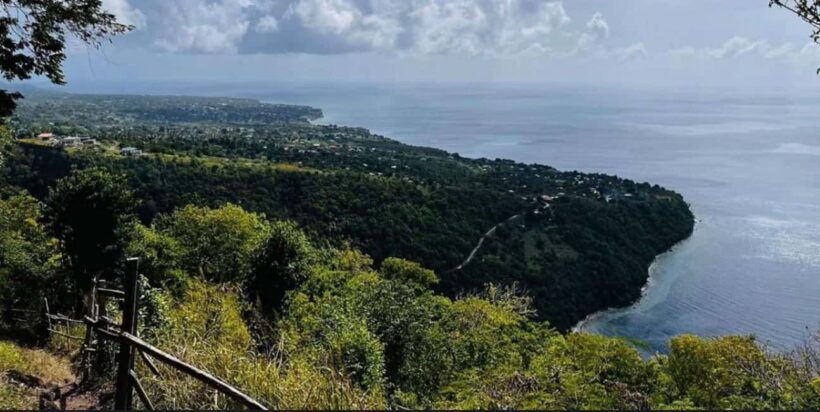 St. Lucia: Scenic Nature Hike & Botanical Garden Escape - What’s Included and What to Bring