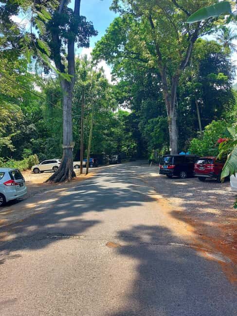 St. Lucia: Scenic Nature Hike & Botanical Garden Escape - Frequently Asked Questions