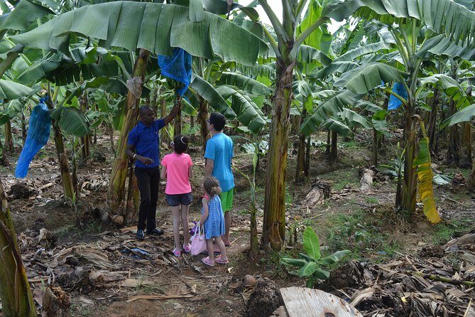 St Lucia Soufriere Natural Attraction - Final Thoughts