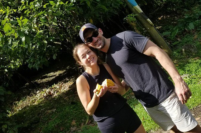 St Lucia Soufriere Private Chocolate Tour - Analyzing the Value