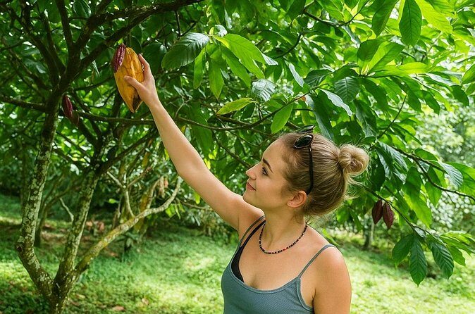 St Lucia Soufriere Private Chocolate Tour - Who Will Love This Tour?