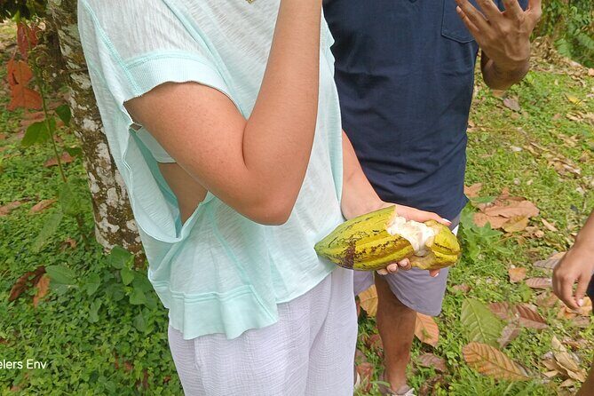 St Lucia Soufriere Private Chocolate Tour - The Sum Up