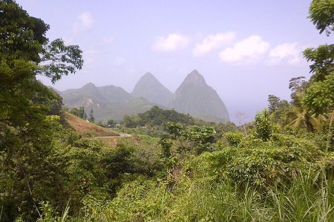 St. Lucia Tet Paul Nature Trail Tour - Key Points