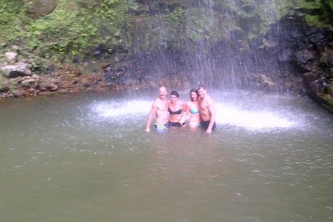 St. Lucia Tet Paul Nature Trail Tour - An In-Depth Look at the Tour