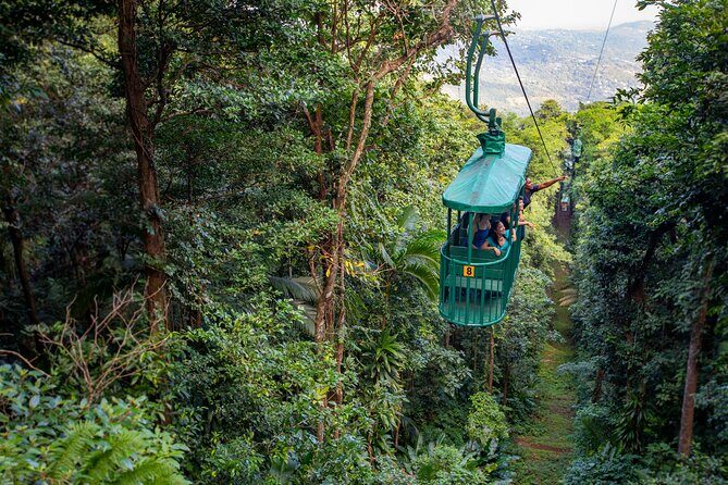 St Lucia Ultimate 3: Aerial Tram, Zipline and Hiking at Rainforest Adventures - Key Points