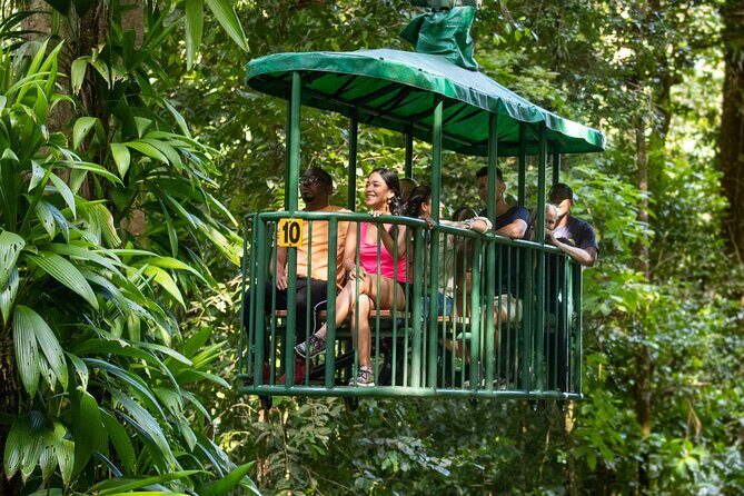 St Lucia Ultimate 3: Aerial Tram, Zipline and Hiking at Rainforest Adventures - Authentic Experiences and Guest Insights