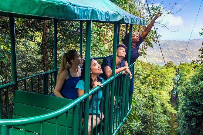 St Lucia Ultimate 3 Package: Aerial Tram, Zipline and Hiking - What We Love and What to Consider