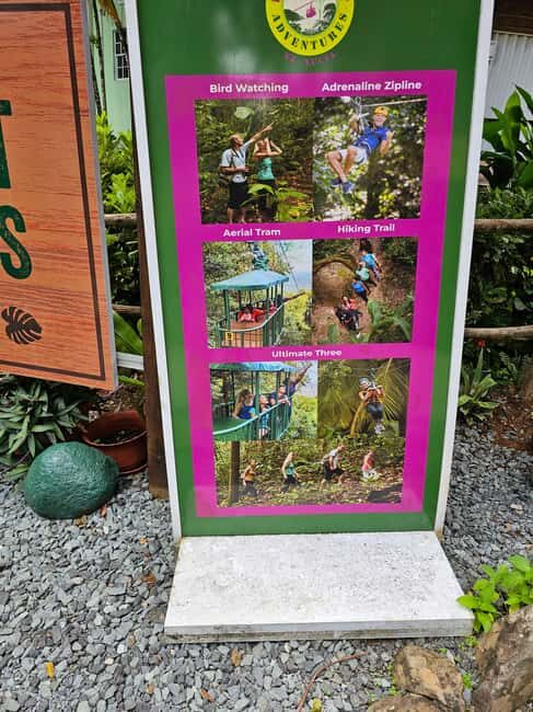 St. Lucia: Zipline Adventure Cruise Port and Hotel Pickup - Key Points