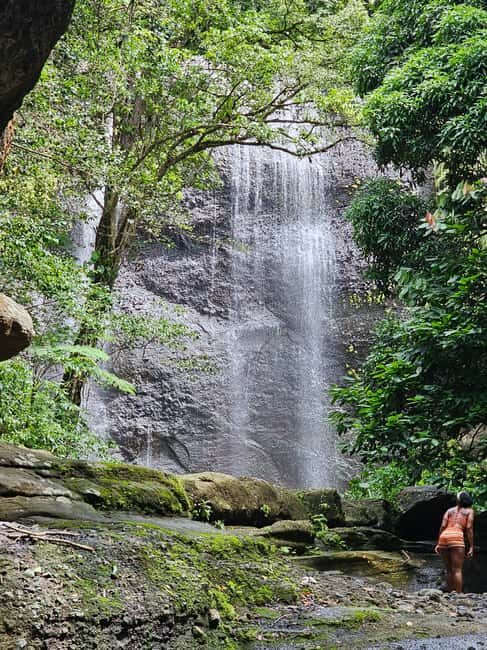 St. Lucia: Zipline Adventure Cruise Port and Hotel Pickup - What Travelers Are Saying