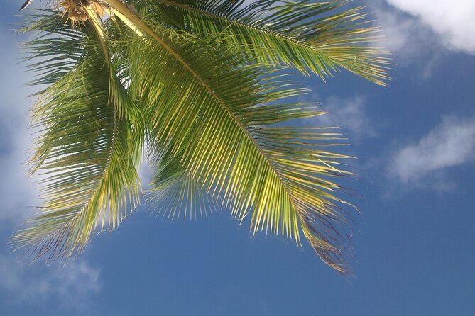 St.Maarten Beach Hopping Tour - The Sum Up