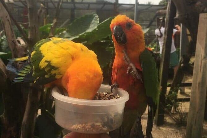 St Maarten Family Deluxe Tour - Final Thoughts