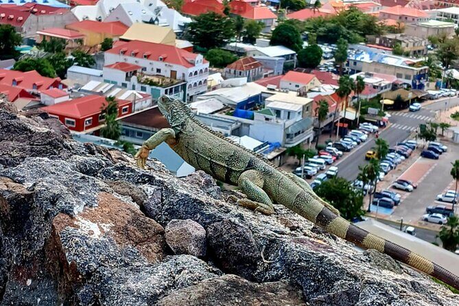 St. Maarten/Saint Martin Island Tour - Who Will Love This Tour?