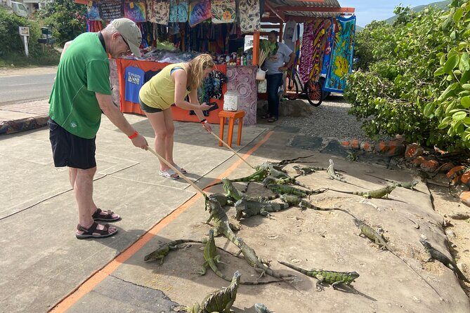 St Maarten/St Martin Sightseeing Tour - What’s Included and What’s Not