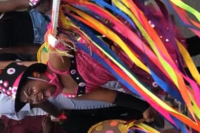 St Maartens Carnival Festival Village Experience and Beach - Who Will Enjoy This Tour?