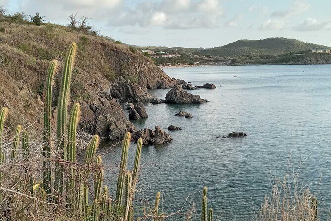 St.Martin - St. Maarten: Small Group, Coastal Hike & Swim Tour - What We Heard From Past Participants