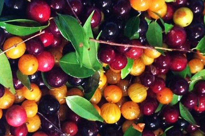 St.Martin - St.Maarten: Small Group, Culinary Food Tour - Practical Tips for Future Travelers