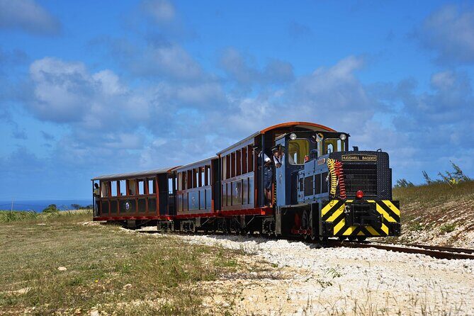 St. Nicholas Abbey & Heritage Railway - Key Points