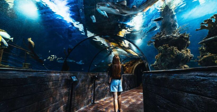 St Paul's Bay: Malta National Aquarium Entry Ticket - What to Expect at the Malta National Aquarium
