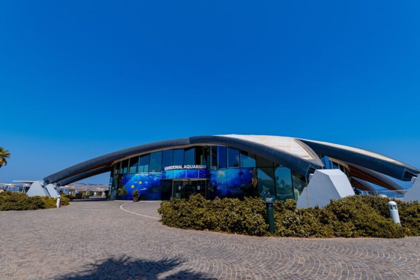 St Paul's Bay: Malta National Aquarium Entry Ticket - Educational and Conservation Efforts