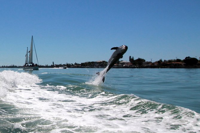 St. Pete Beach Dolphin Racer Adventure - Summary