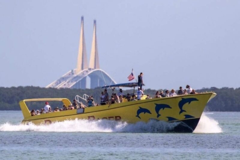 St. Pete Beach: Dolphin Racer Cruise by Speedboat - Who Will Love This Tour?